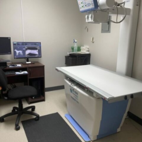Pet Radiology Marrero, LA | Acadiana West Animal Clinic